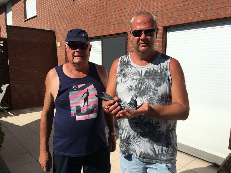 Jürgen & Roger Vervaeke Top-Kandidat 1. Nationale AS-Taube Jährige KBDB ...