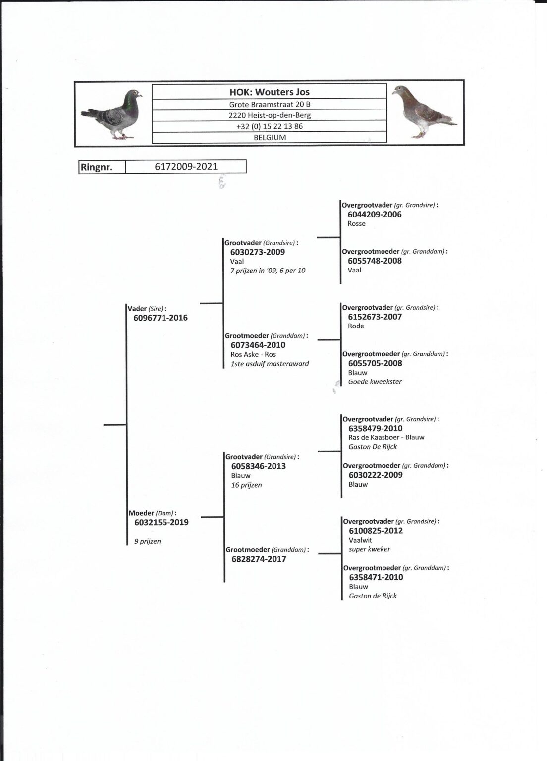 Jos Wouters is the 12th national ACE pigeon KBDB youngsters on the ...
