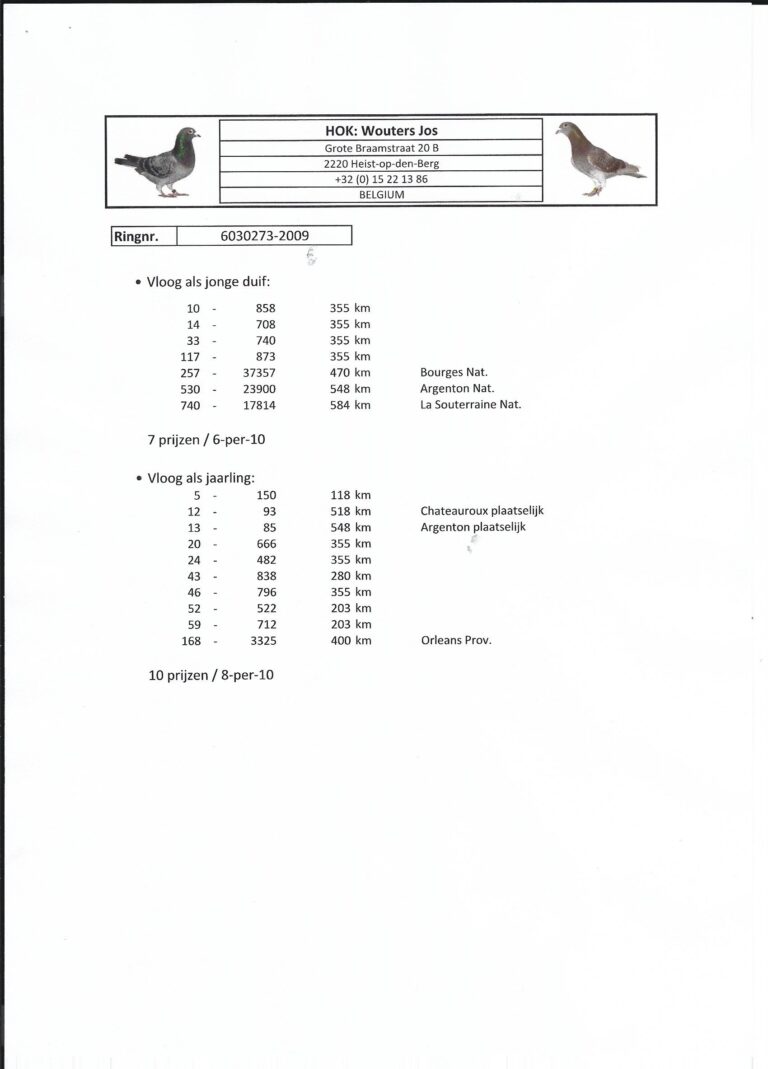 Jos Wouters is the 12th national ACE pigeon KBDB youngsters on the ...